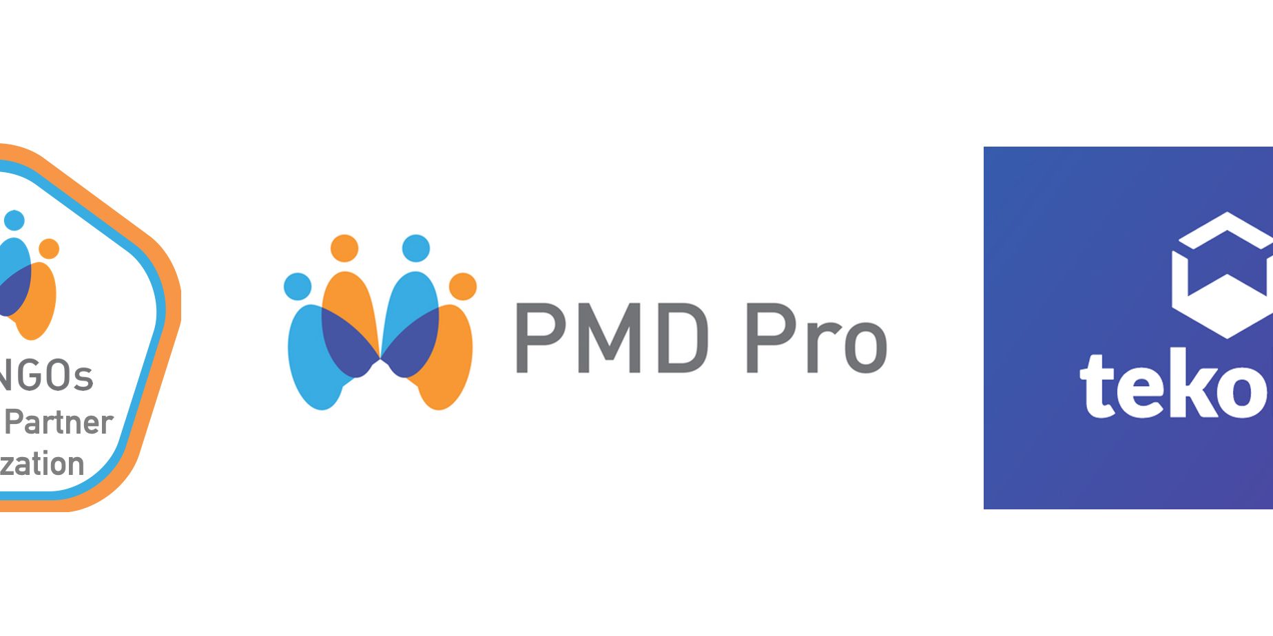 Entenda a Parceria da Tekoha com a PM4NGOs para Project DPro — PMD Pro